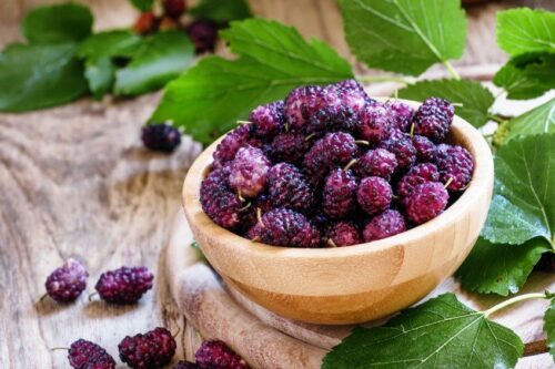 What Colors Make Magenta - How to Mix Different Shades of Magenta