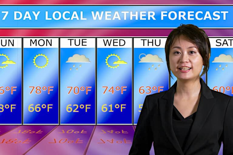 Types of Illustration - Visual Communication Styles