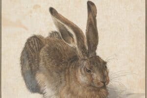 "Young Hare" by Albrecht Dürer - Dürer's Rabbit Analysis