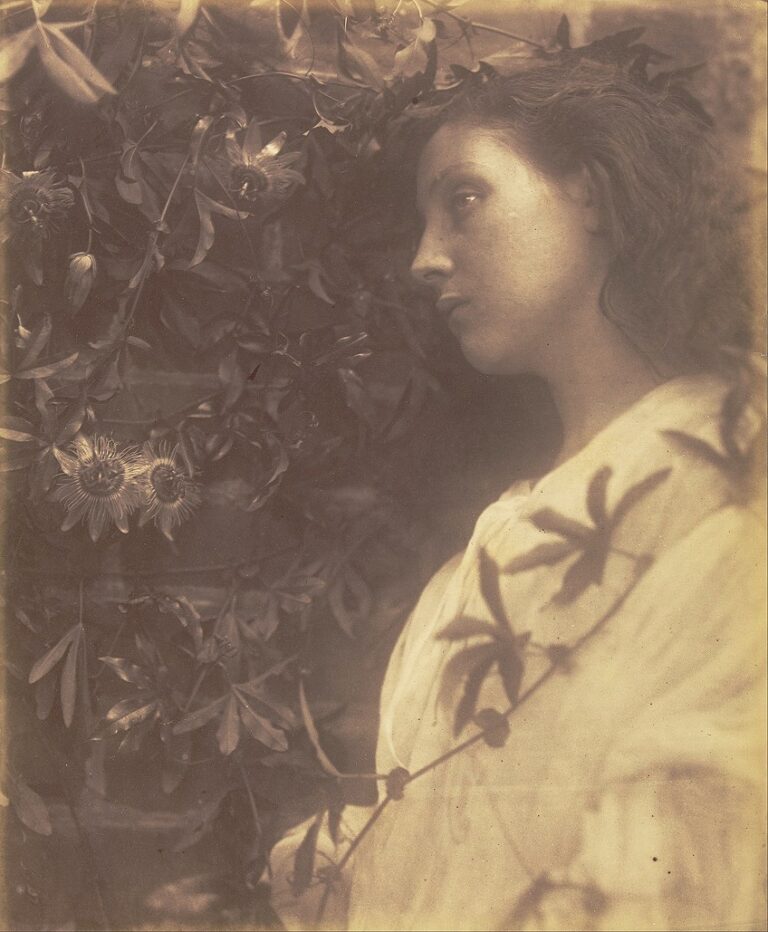 Famous Portrait Photographers - Framing Personalities